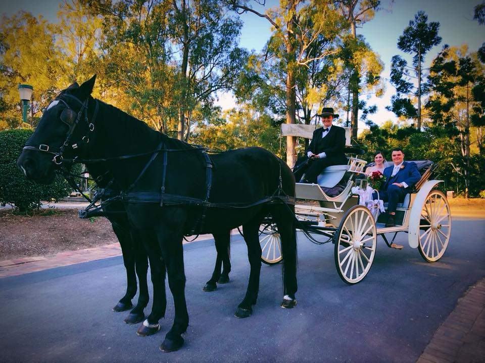 Champagne Wedding Carriages - Wedding Cars Waterford West | Real Weddings
