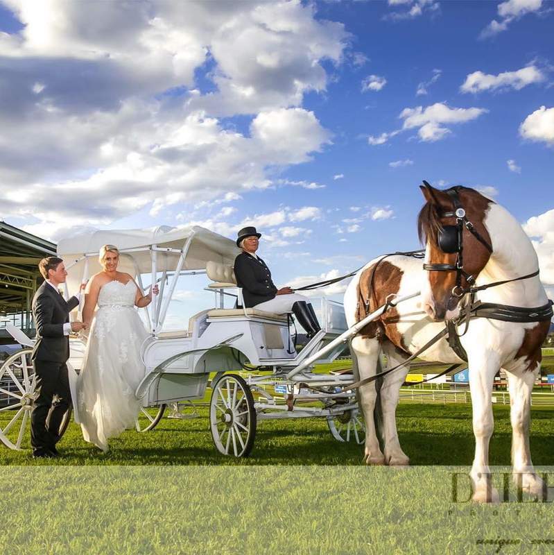 Prestige Horse Carriages - Wedding Cars Appletree Flat | Real Weddings